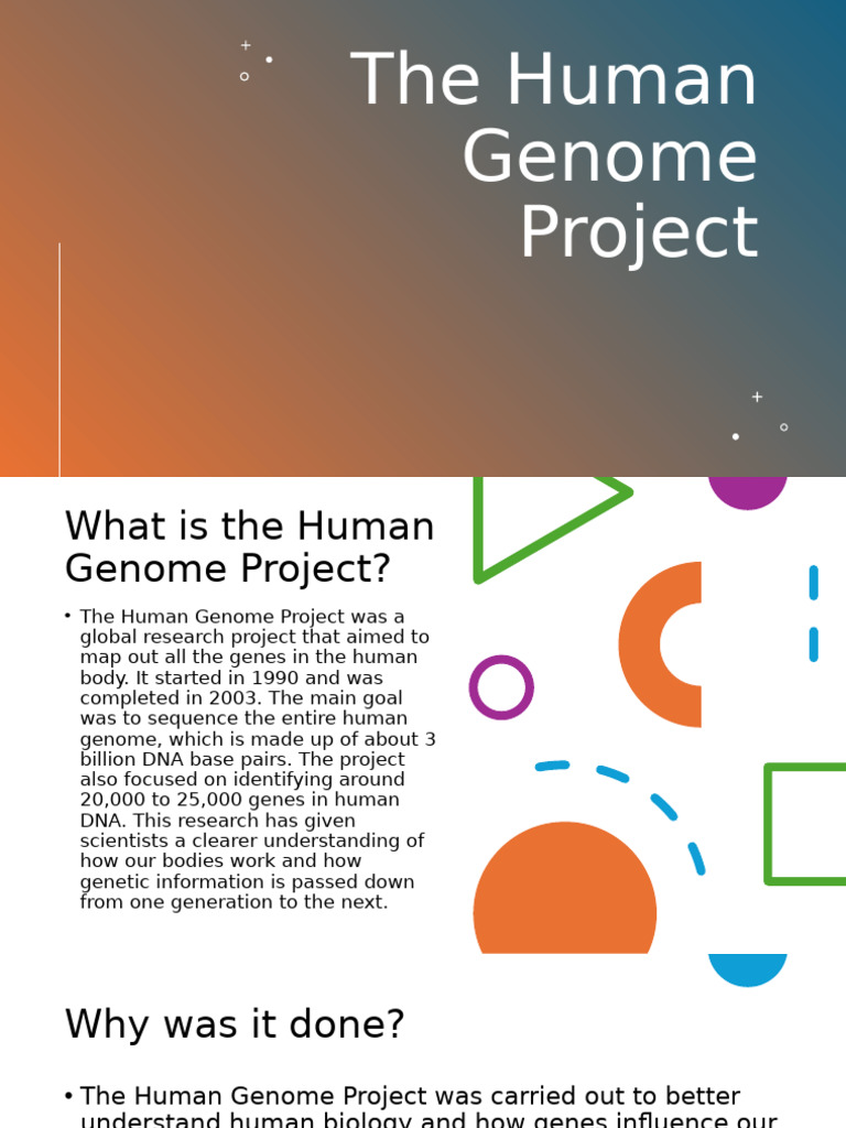 Overview of the Human Genome Project | PDF | Human Genome | Genetics