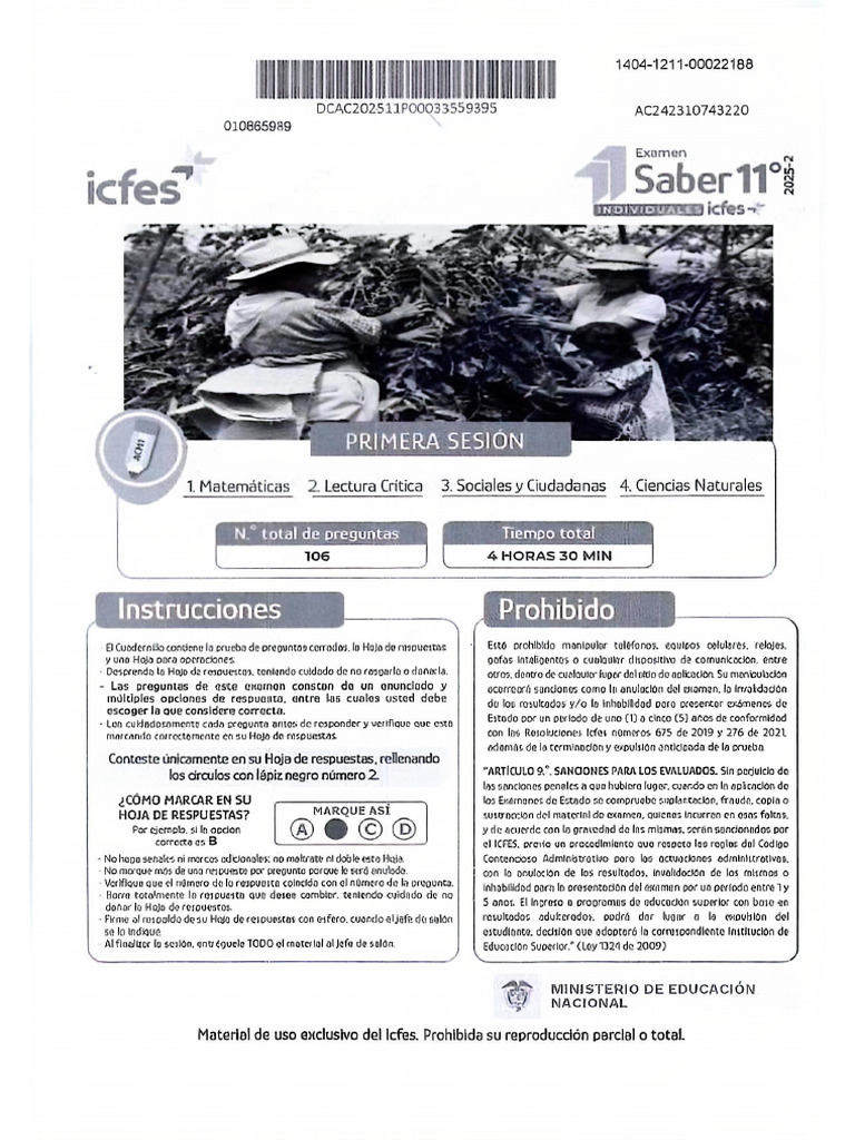 Pruebas Icfes 2025-2 | PDF