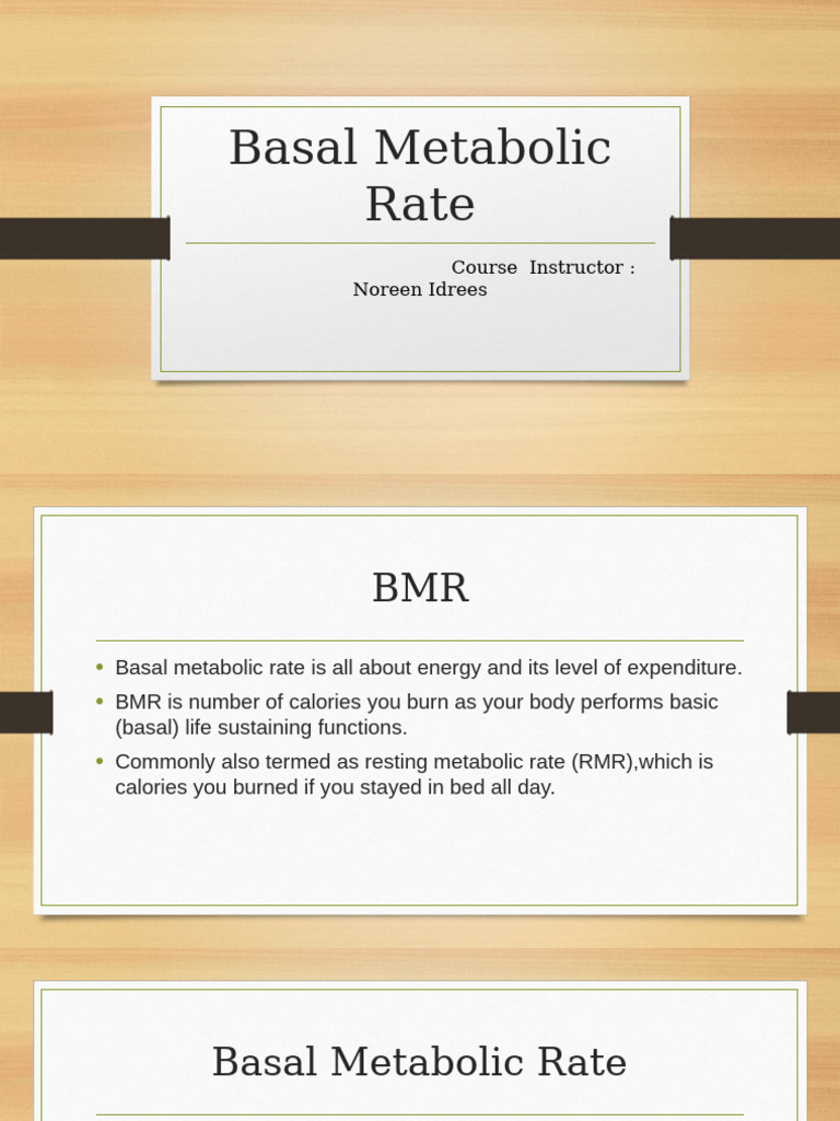 Understanding Basal Metabolic Rate | PDF