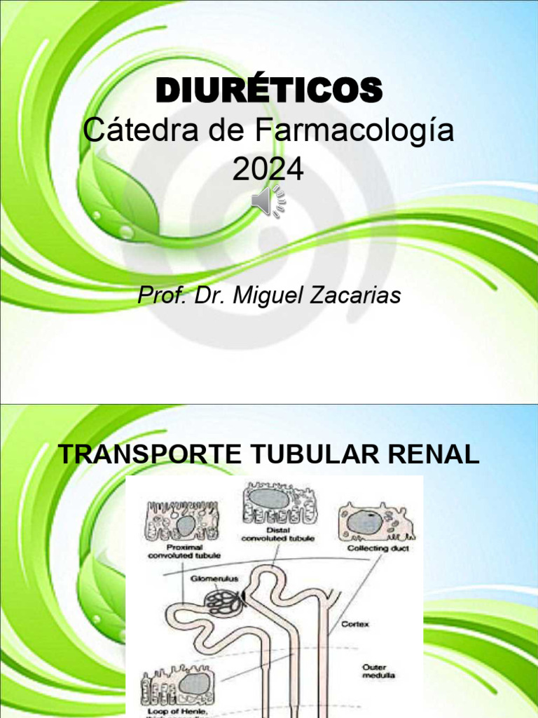 Diuréticos: Mecanismos y Tipos | PDF | Riñón