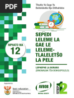 Final Sepedi Stories (Grade 2 Booklet) - 1 | PDF | Linguistics | Languages