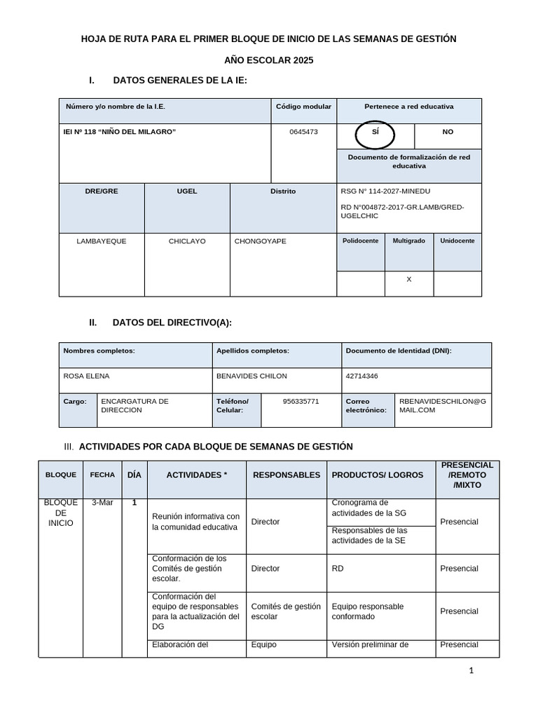 Hoja de Ruta 2025 | PDF | Aprendizaje