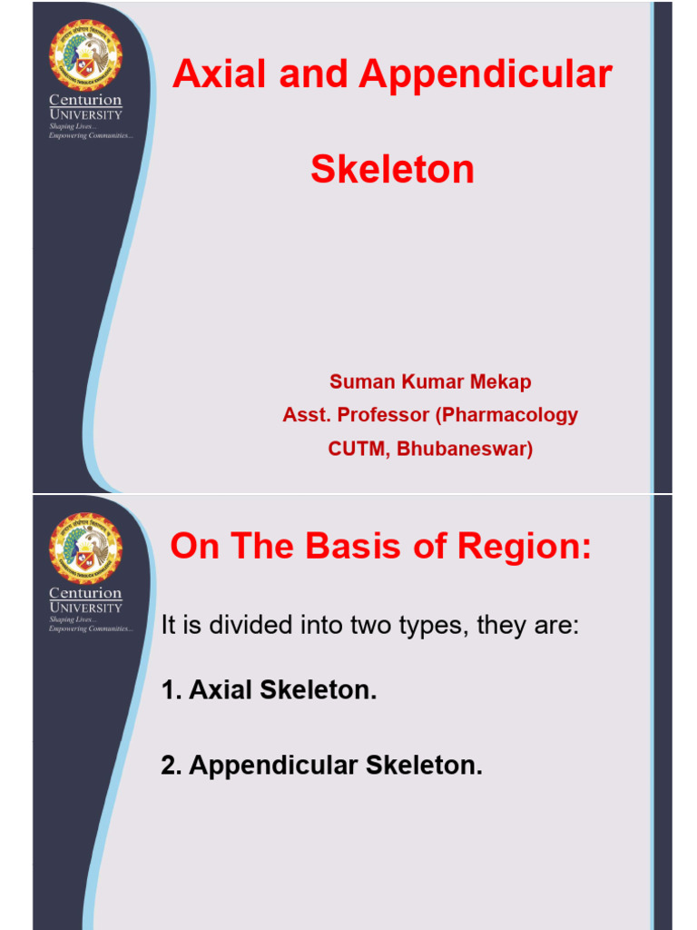 Axial and Appendicular Skeleton | PDF | Vertebra | Skull