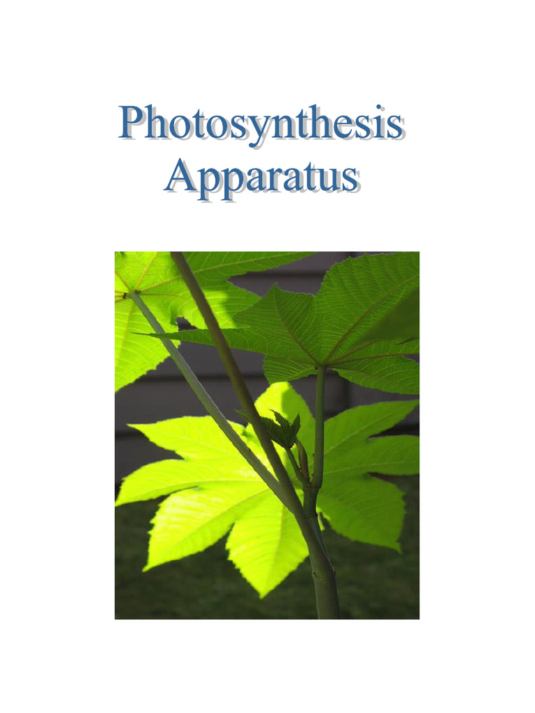 Photosynthesis Apparatus (Teachers Notes) | PDF | Photosynthesis | Gases