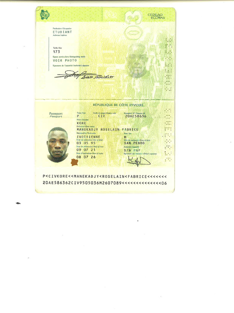 Passport PDF | PDF