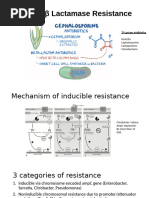 HECK-Yes: AmpC Bacteria Guidelines | PDF