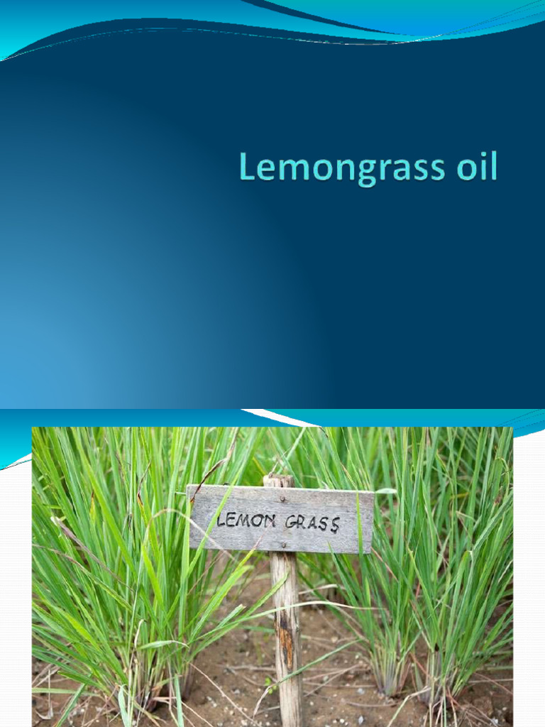 Lemongrass 1 | PDF