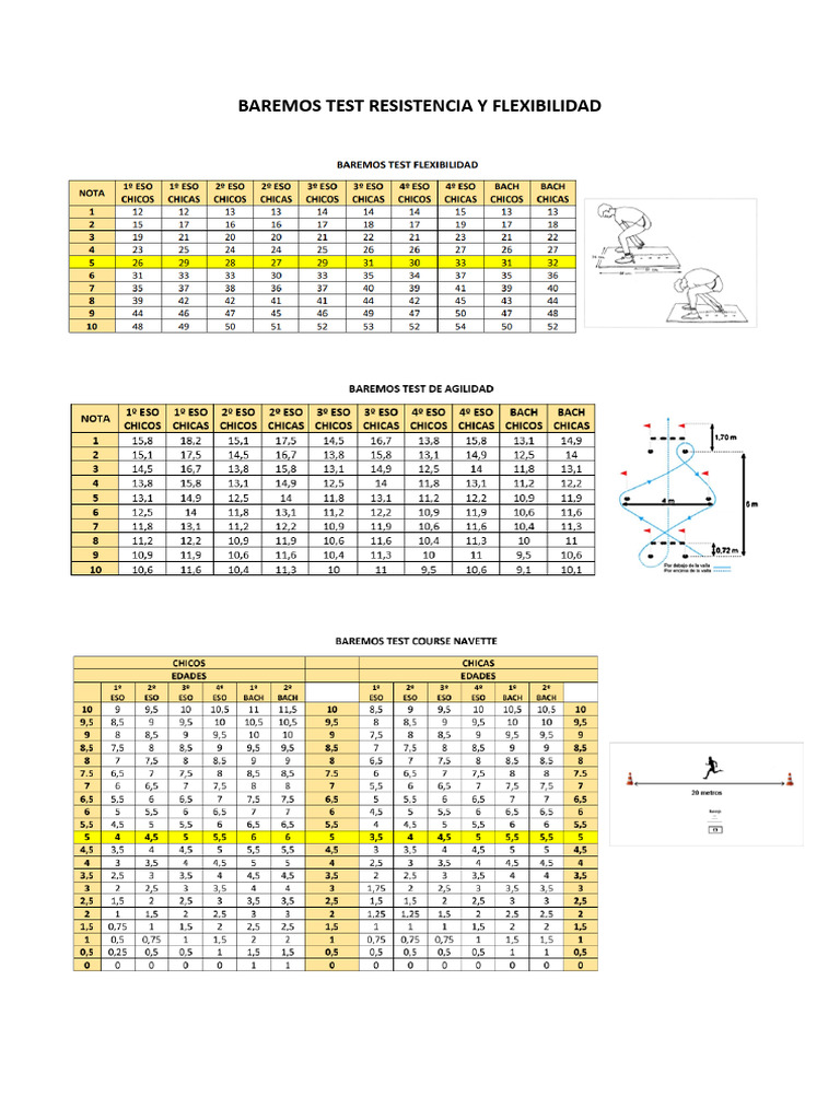 Baremos Test Resistencia y Flexibilidad | PDF