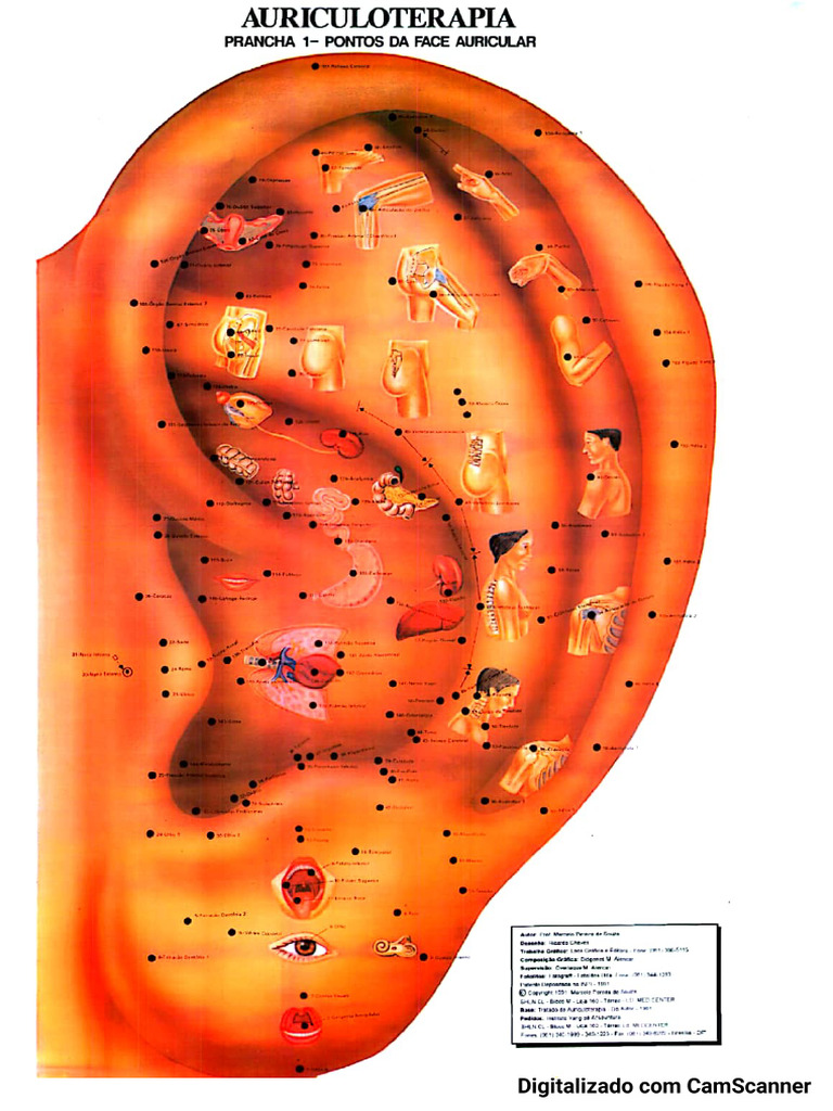Mapa Professor Marcelo Frente | PDF