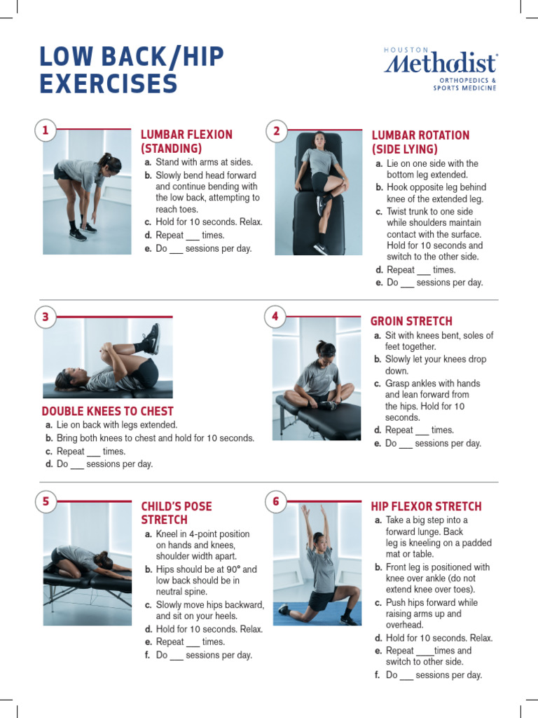 AT Training LowBackHip Flyer WEB | PDF | Anatomical Terms Of Motion | Knee
