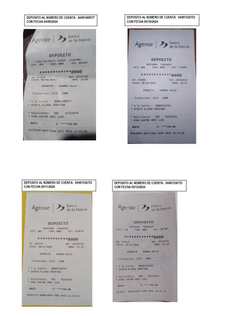 Bauchers para Liquidacion | PDF