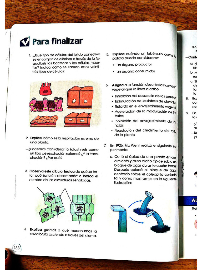 OneRead 20250303 1806 | PDF