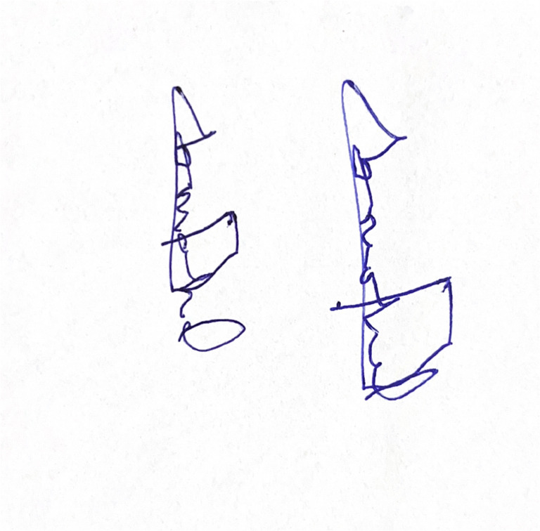 Sing Hamid Bhai | PDF