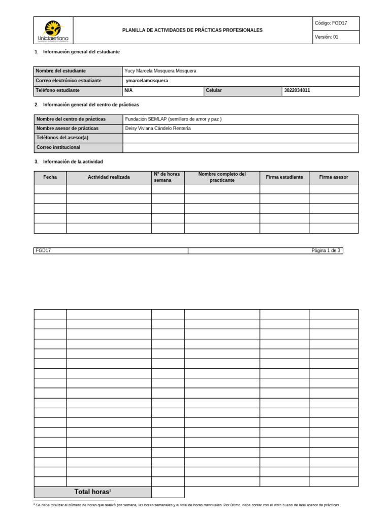 Planillas de Actividades Practicas Profesionales | PDF