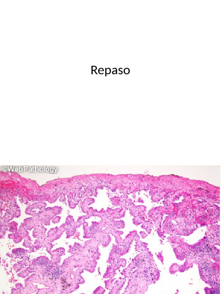Repaso (2) | PDF