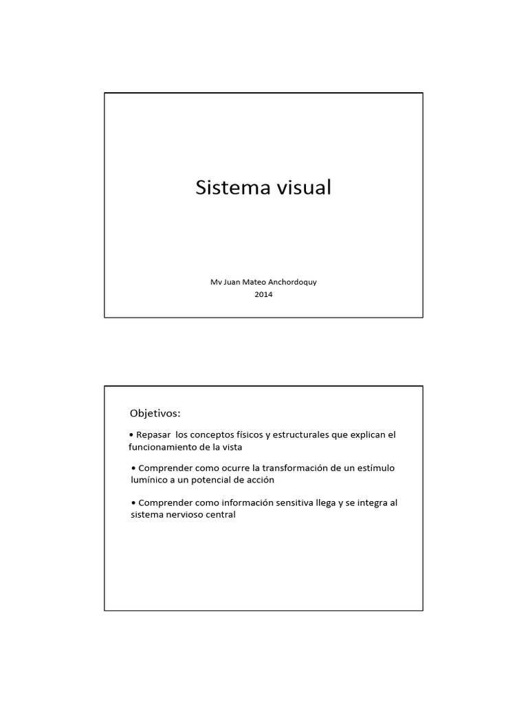 Sistema Visual | PDF | Percepción visual | Ojo humano