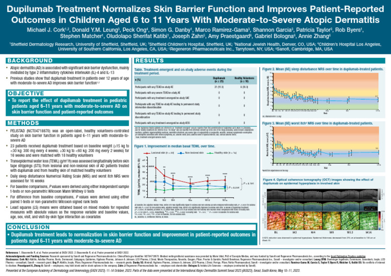 Cork 2023 EADV PELISTAD+Primary Poster+Layout Ada Sept+25 | PDF ...