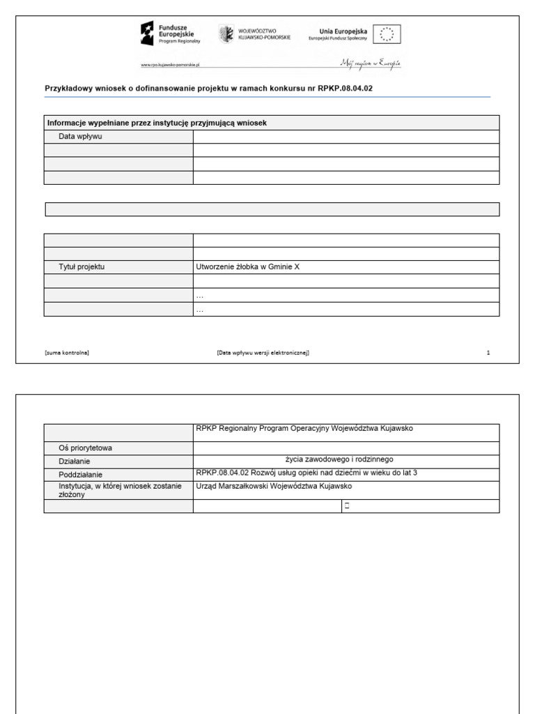 Przykladowe Wypelnienie Pol | PDF