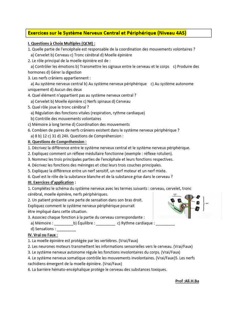 Exercices sur le Système Nerveux | PDF | Système nerveux central | Nerf