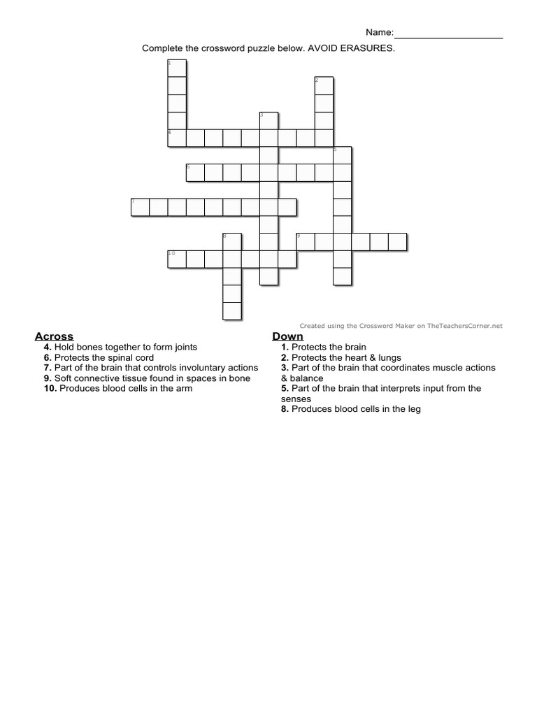 Anatomy Crossword for Students | PDF