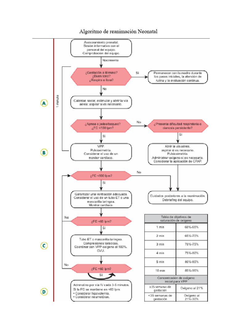 Algoritmo de reanimación Neonatal | PDF