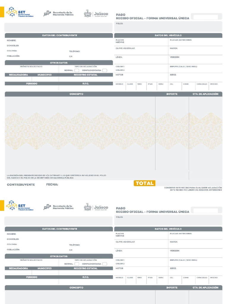 Pago Multa 2025 | PDF