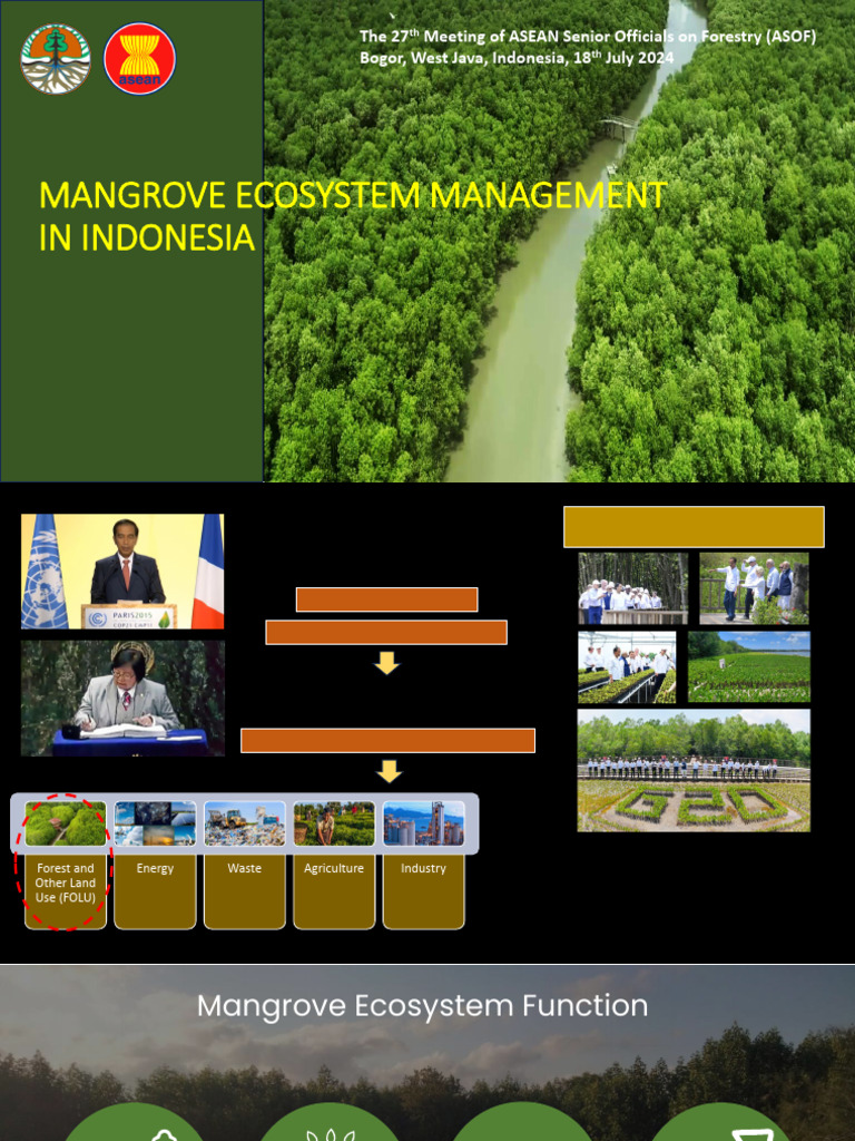 Share learning_Mangrove Ecosystem Management in Indonesia | PDF ...