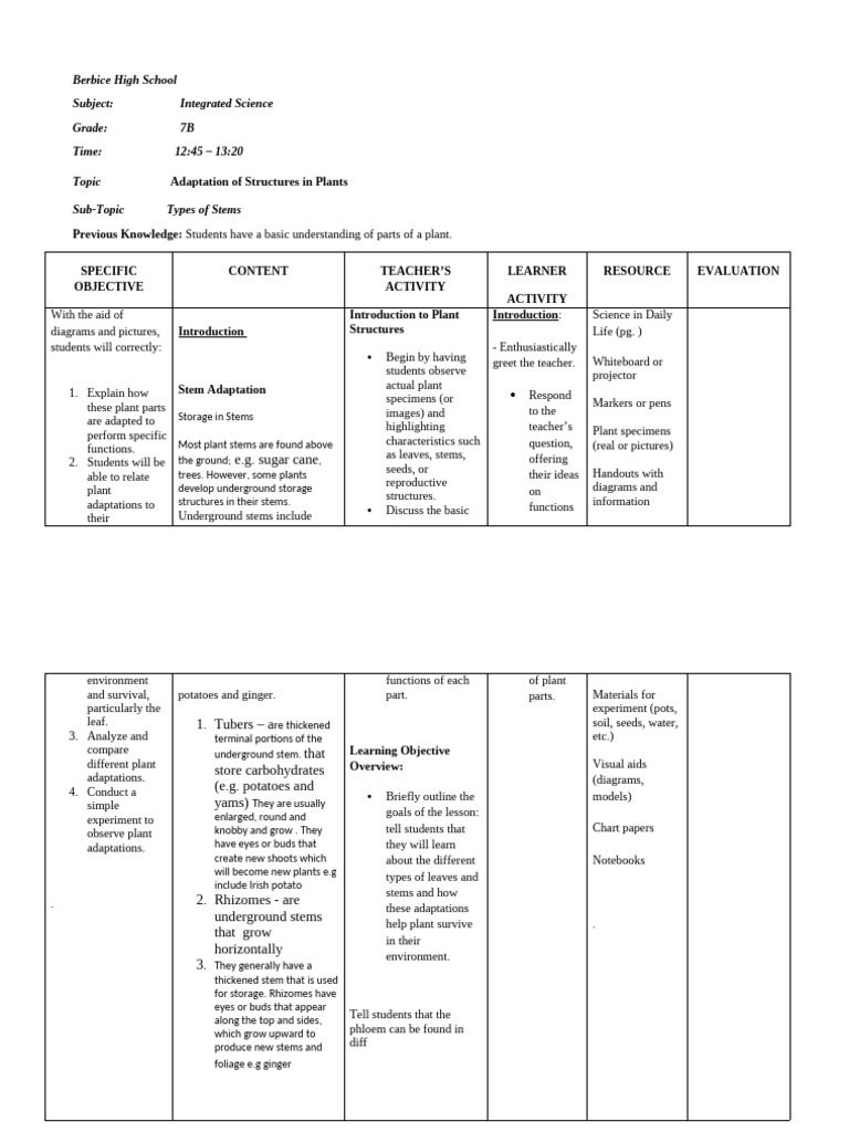 Types of Stems | PDF | Leaf | Plant Stem