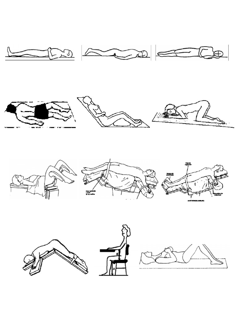 posiciones anatomicas | PDF