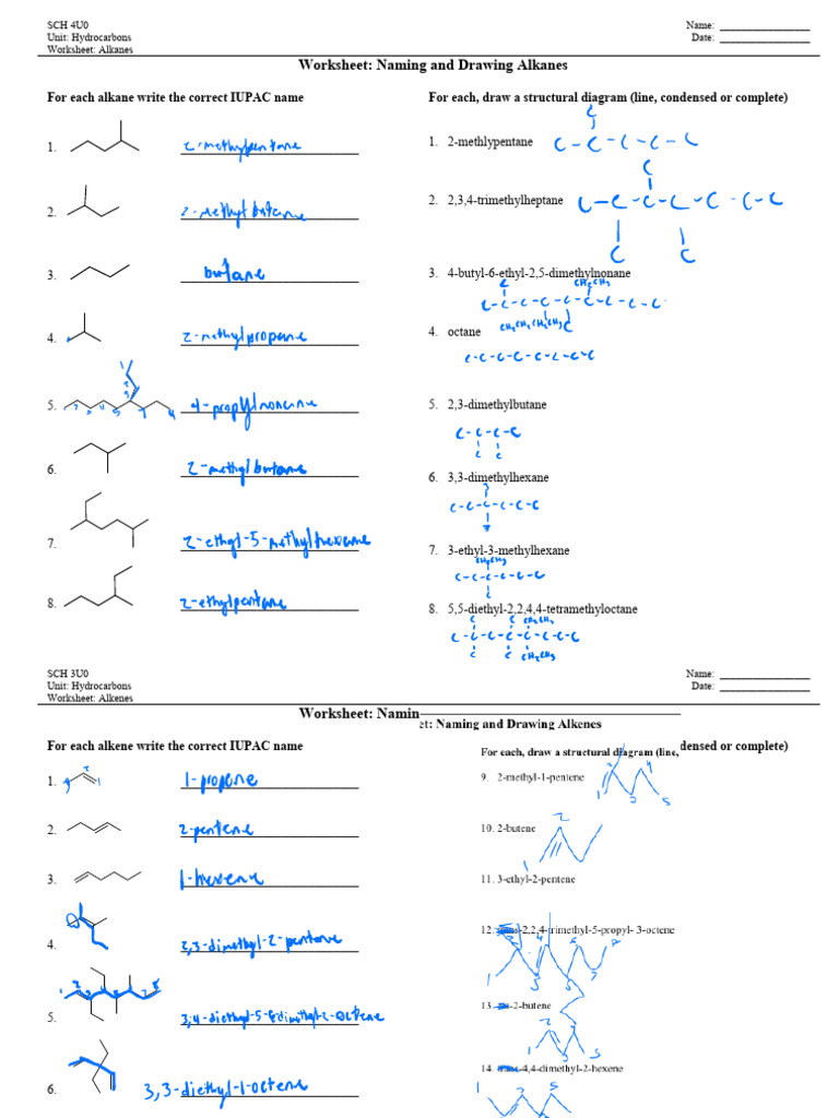Hydrocarbons: Alkanes, Alkenes, Alkynes Worksheets | PDF | Alkene | Alkane