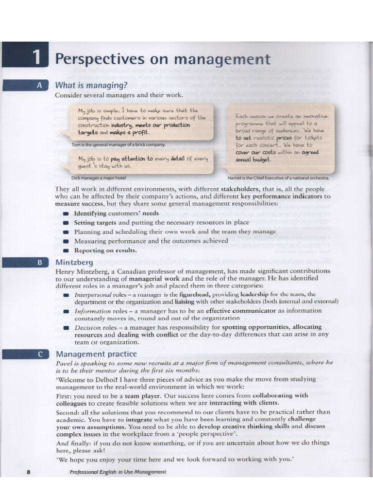 Perspectives in Management | PDF