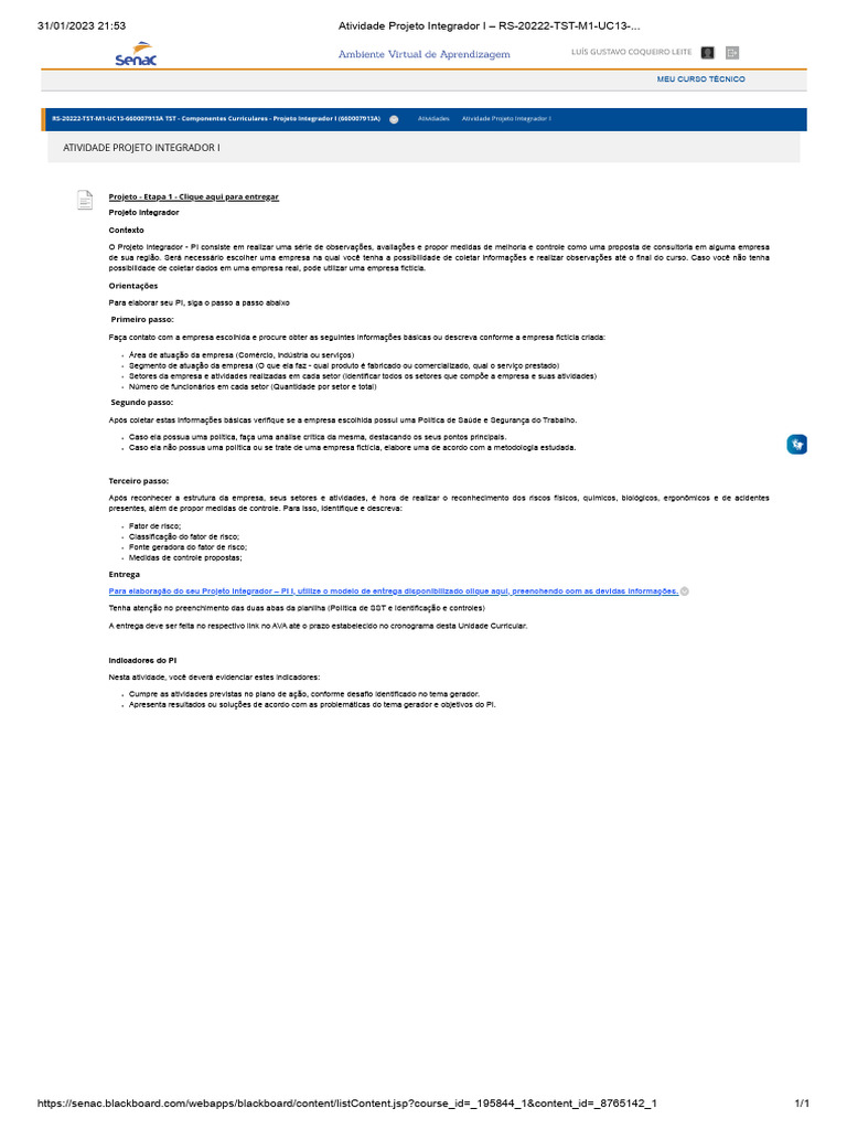 Atividade Projeto Integrador I - RS-20222-TST-M1-UC13 - (Prospecto) | PDF