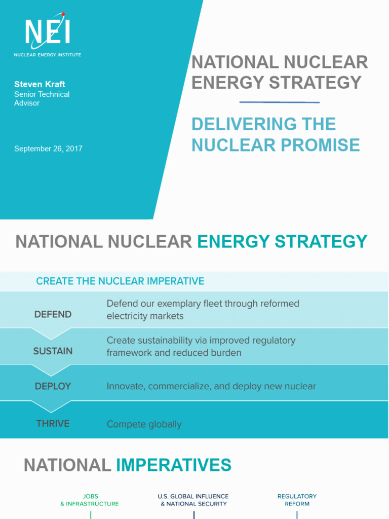 National Nuclear Energy Strategy Insights | PDF