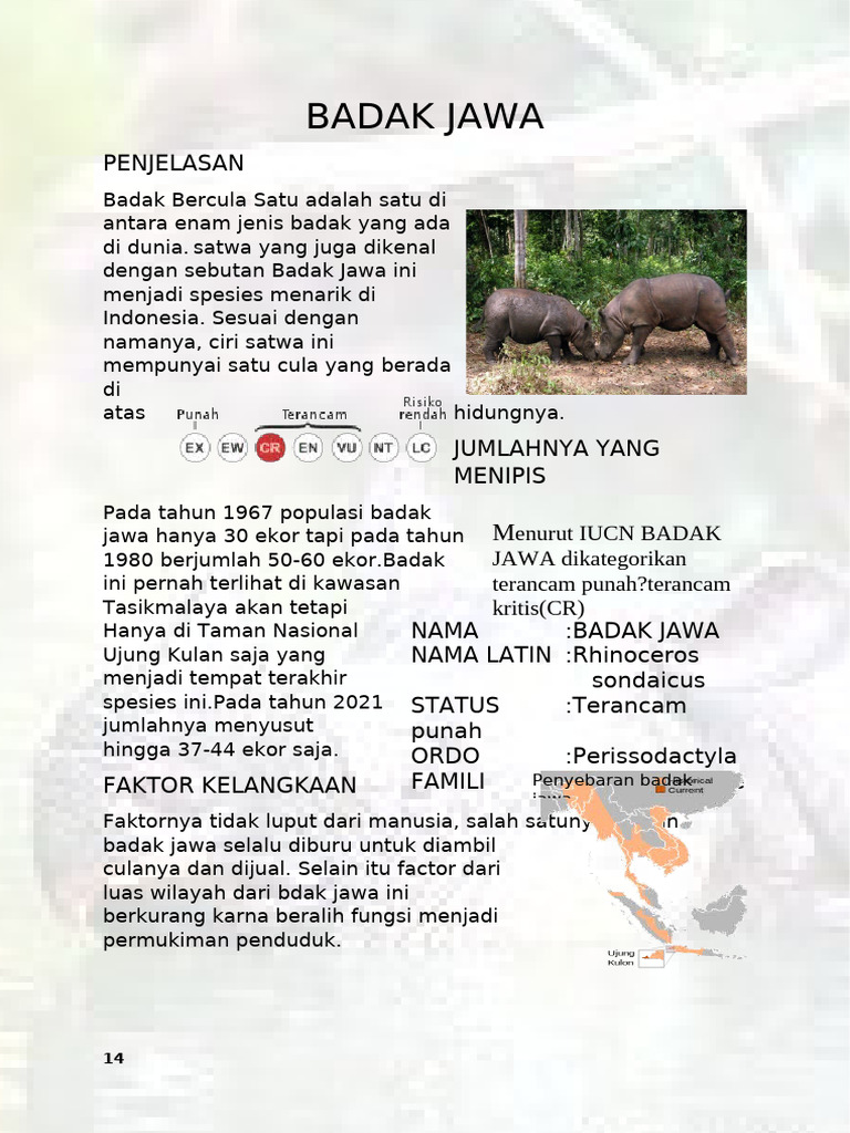 Badak Jawa: Spesies Terancam Punah | PDF