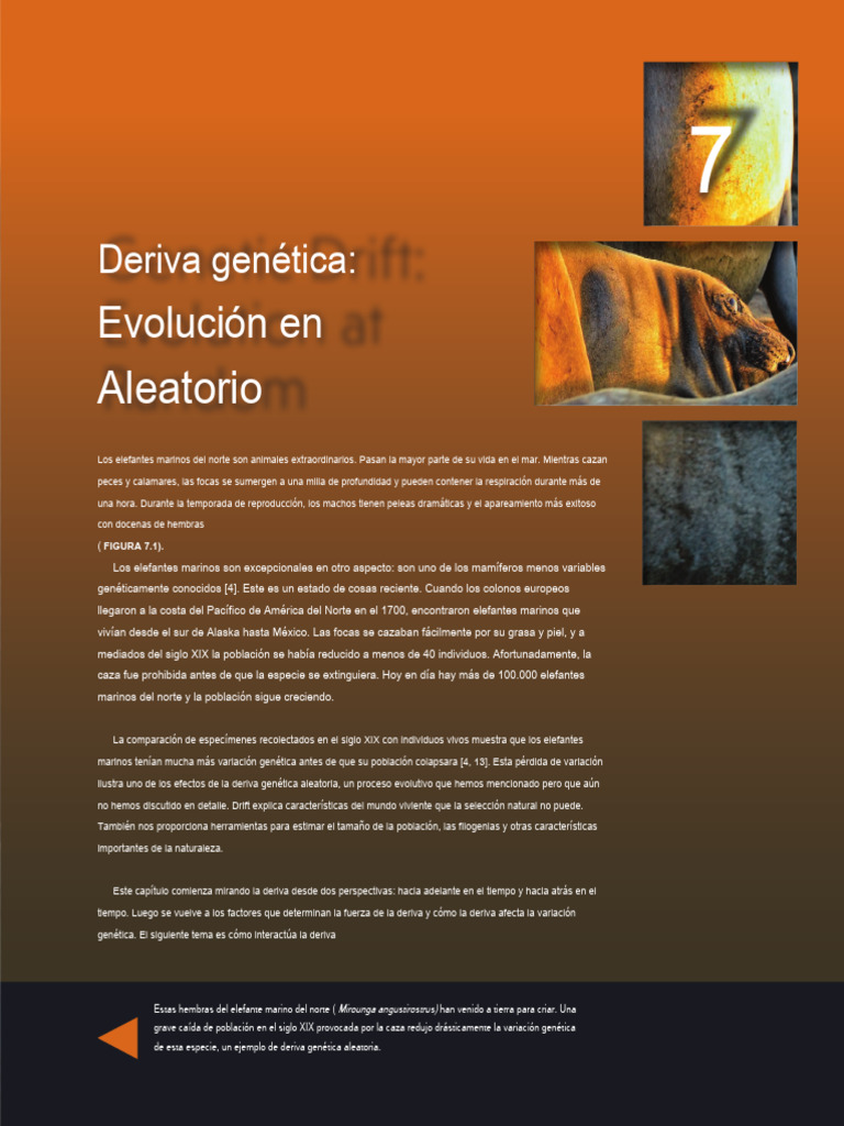 Cap 7 Futuyma - En.es | PDF | Evolución | Alelo