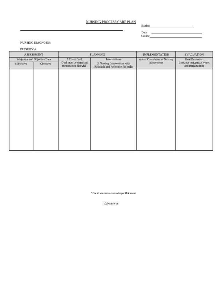 BSN Care Plan Form Template | PDF