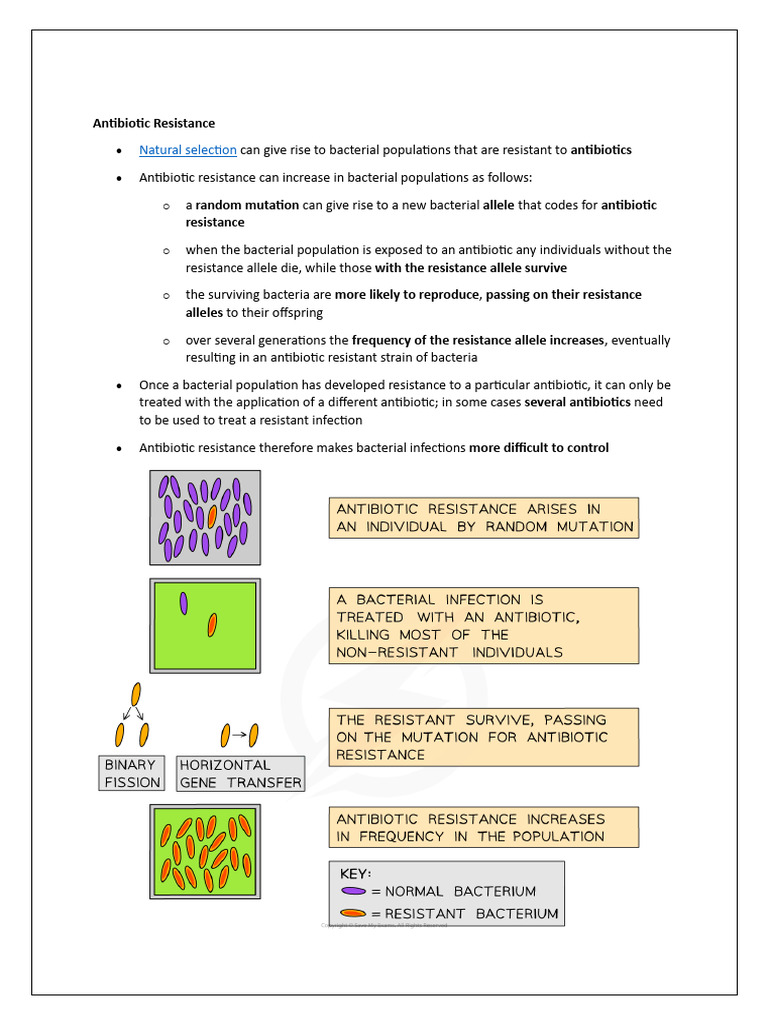 Antibiotic Resistance | PDF