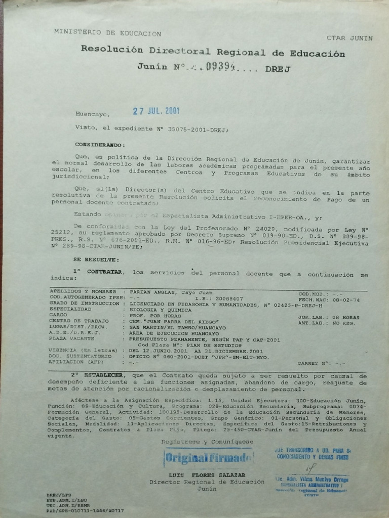 EXPERIENCIA PROFESIONAL | PDF