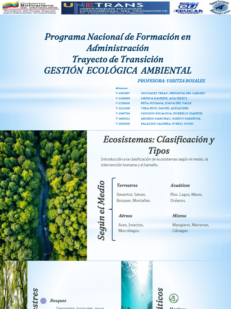 Ecosistemas Clasificacion y Tipos 2025 | PDF | Ecosistema | Humedal