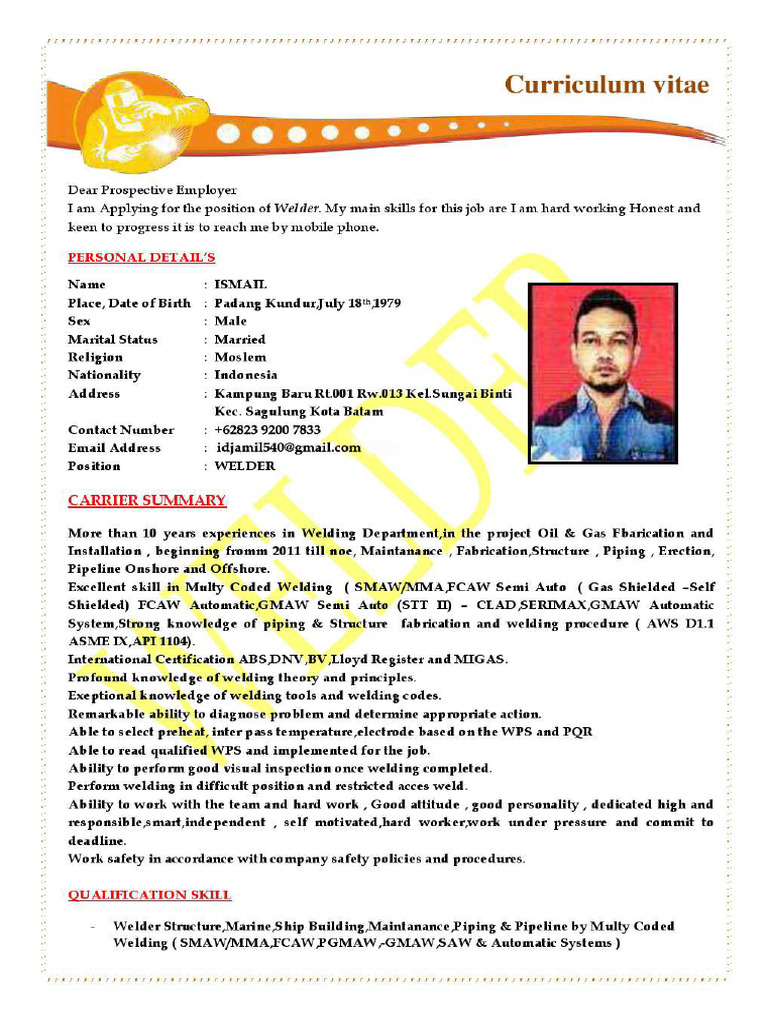 Curriculum Vitae and Document Ismail 2021 | PDF