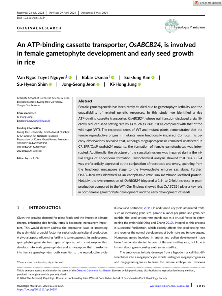 An ATP Binding Cassette Transporter OsABCB24 Is Involved in Female ...