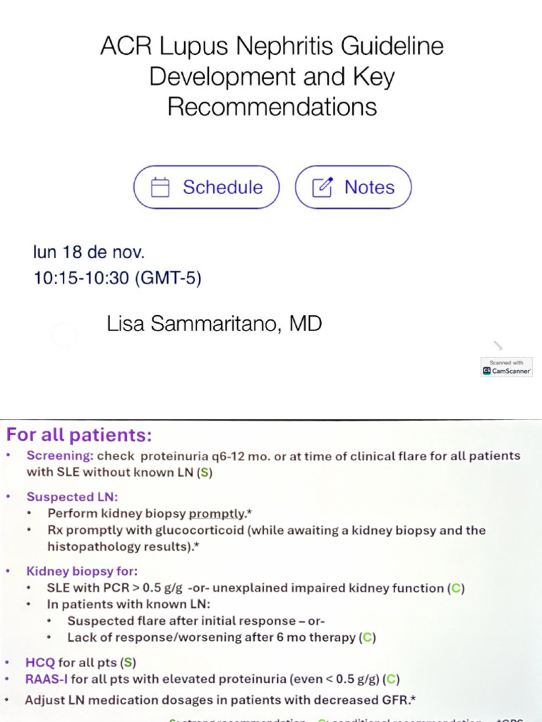 Acr 2024 Lupus Nephritis Guidelines Upda | PDF