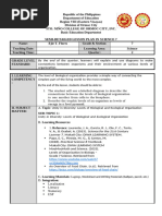 Comprehensive Lesson Plan Template | PDF | Teaching Method | Learning