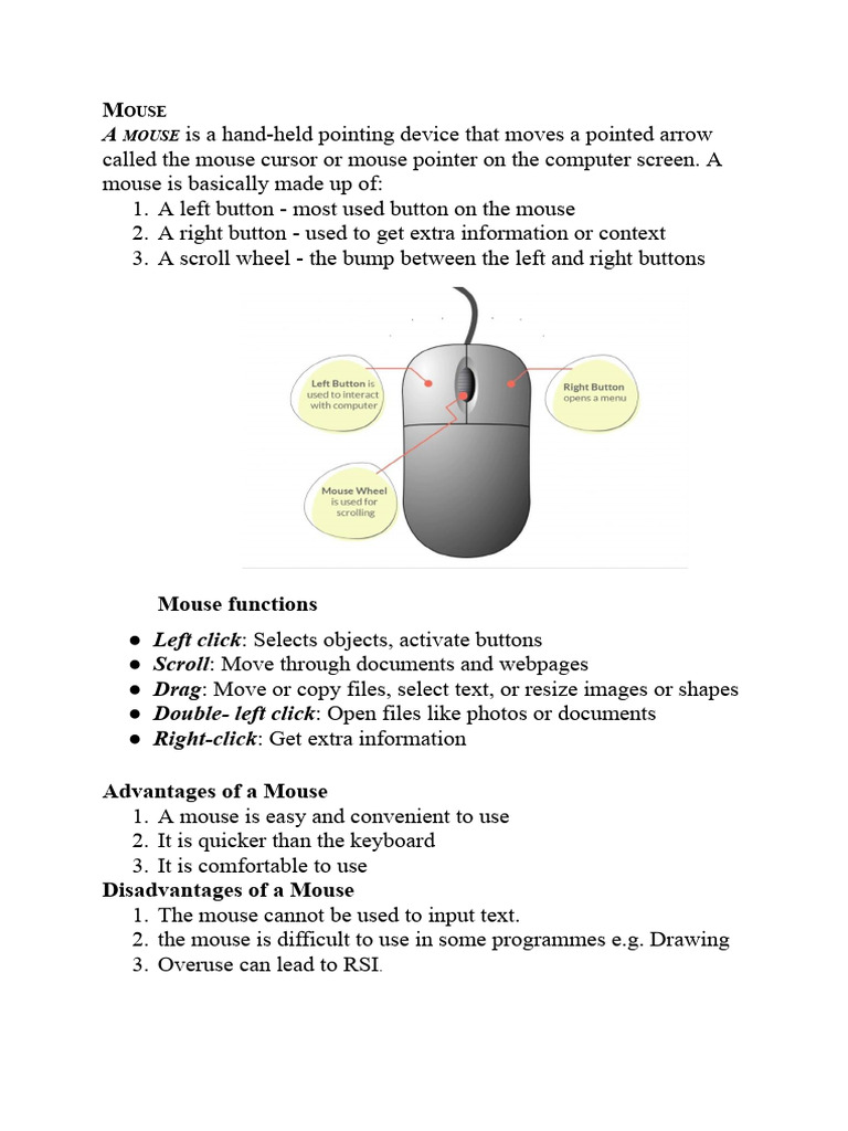 Input Devices - Mouse-2 | PDF