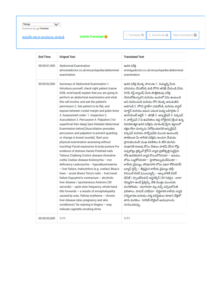 Translating Subtitles | PDF
