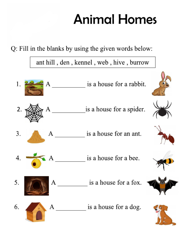 Animals & Their Home - Worksheet | PDF