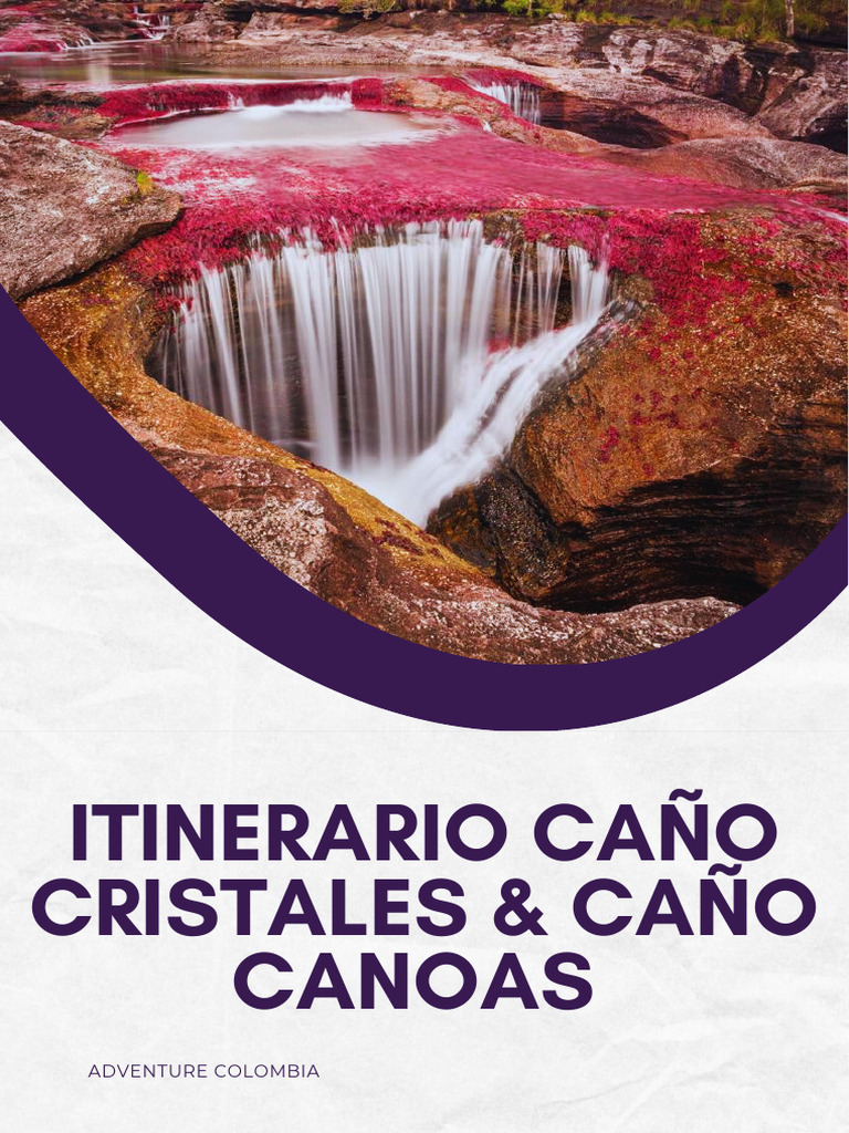 Caño Cristales y Caño Canoas Adventure PDF | PDF | Comida | Comportamientos alimenticios de los ...