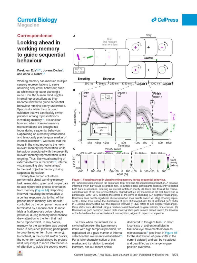 Memory Focus in Sequential Tasks | PDF | Memory | Working Memory