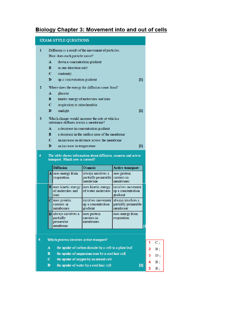 Biology Chapter 3 - Exam - Answer | PDF