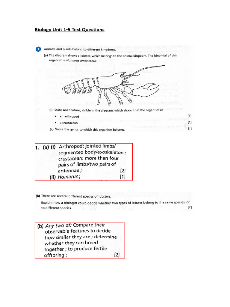 Unit 1 To 5 - Test - Answers | PDF